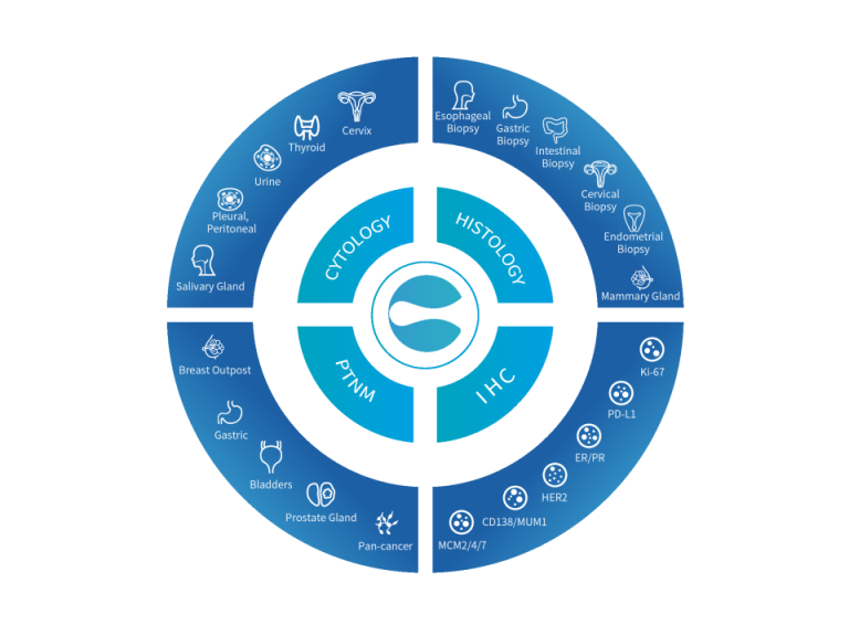 Digital Intelligent Pathology AI Assisted Diagnosis System | Gmedisys